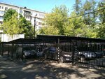 Zhilishchno-stroitelny kooperativ Gaant (Akademika Korolyova Street No:3А), müzik ve dans grupları  Moskova'dan