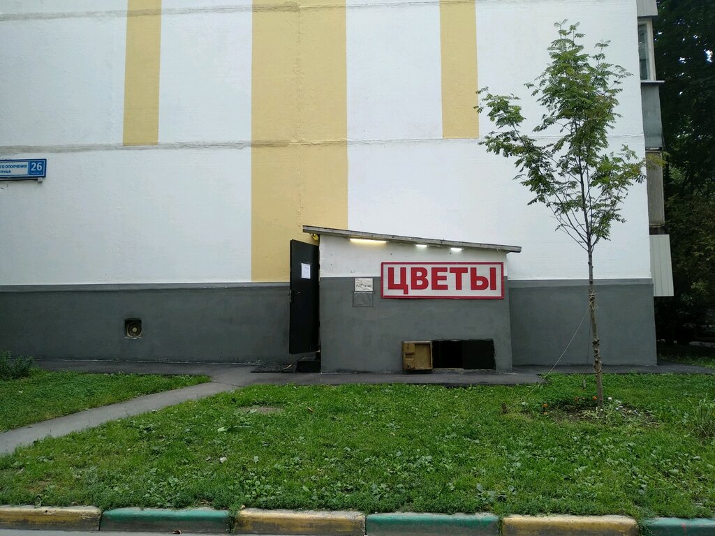 Çiçekçiler Credendo Vides, Moskova, foto