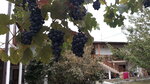 IriSa (Pionerskaya ulitsa No:12, selo Kabardinka), otel  Krasnodarski krayından