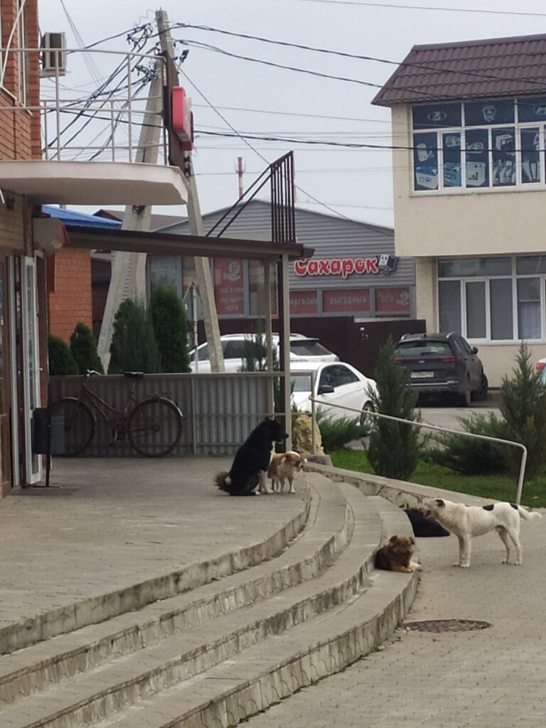 Kasap, şarküteri Мясной магазин, Krymsk, foto