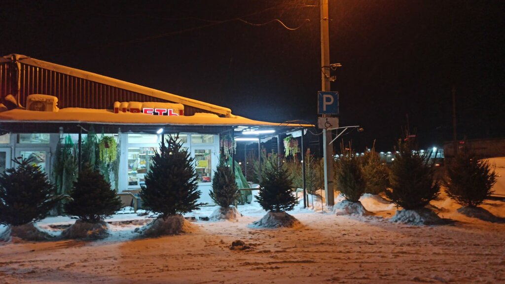 Çiçekçiler Цветы, Moskova ve Moskovskaya oblastı, foto