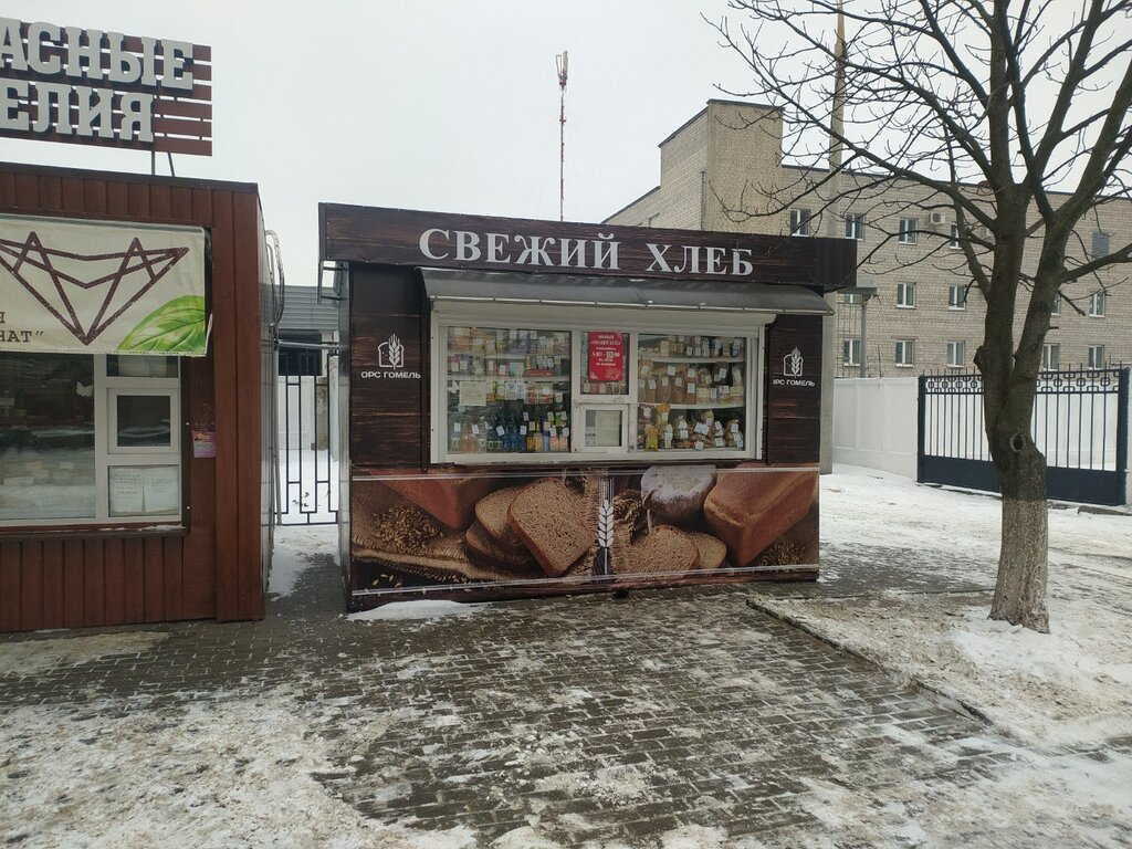 Ekmek fırını Свежий хлеб, Gomel, foto