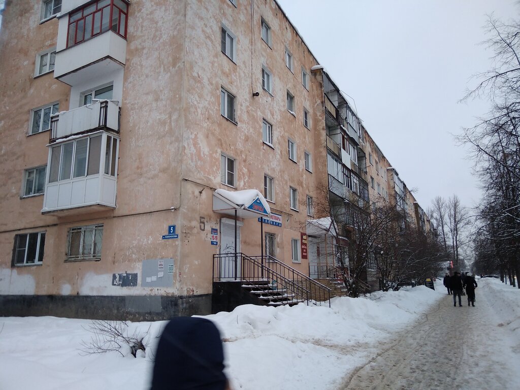 Beyaz eşya servisleri Servisny tsentr DNS, Velikiy Novgorod, foto