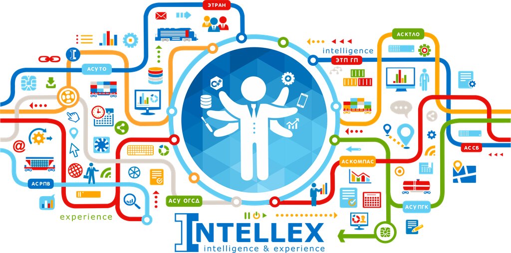 Yazılım firmaları Intellex, Moskova, foto