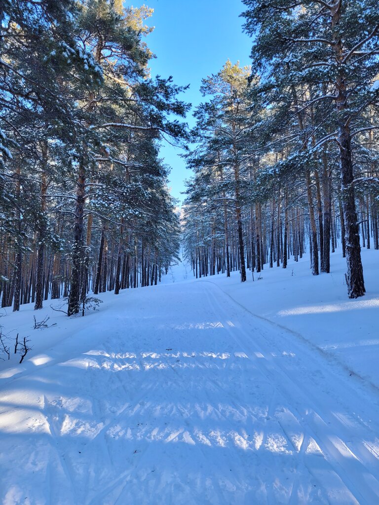 Kayak merkezleri Cska Mo Rk Ski Base, Şçuçinsk, foto
