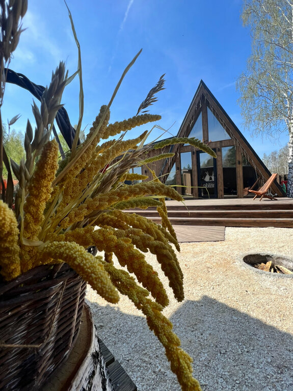 Tatil köyleri Gnezdo_Ekb, Sverdlovskaya oblastı, foto