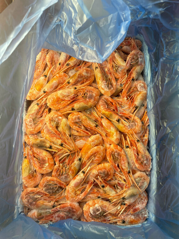 Balık ve deniz ürünleri Порт 17.4, Moskova ve Moskovskaya oblastı, foto