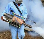 Instar Pest Control Services (Al Aweer Building B, Nadd Al Hamar, Ras Al Khor, Dubai), haşere ilaçlama firmaları  Dubai'den