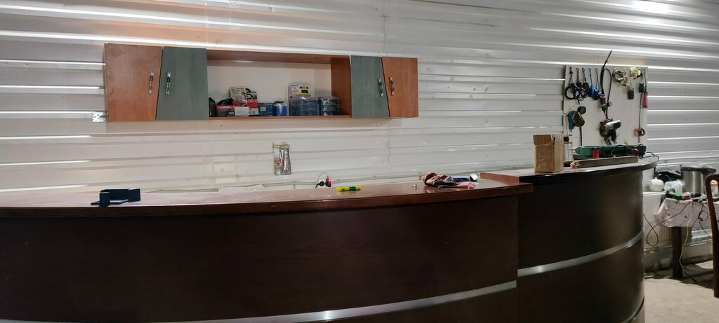 Otomobil servisi CSEElectronics, Kolpino, foto