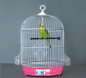 Petshop HomeZoo, Krasnodar, foto