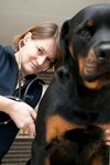 Dr. med. vet. Astrid Mayr (Mannheimstraße No:11, Puchenau), veteriner klinikleri  Linz'den