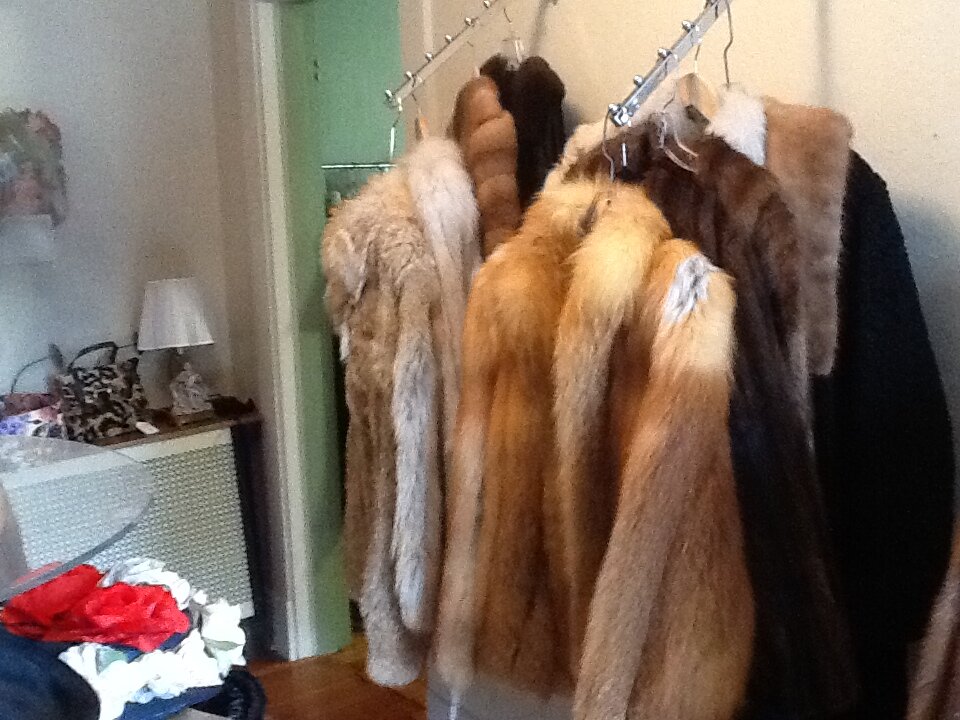 Antikacı dükkanları Vintage to Vogue, Pennsylvania, foto