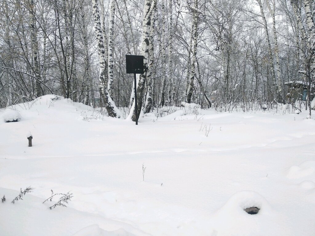 Spor alanı Баскетбольная площадка, Novosibirsk, foto
