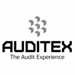 Auditex (Garadzieckaja Street No:38А), mali denetleme şirketleri  Minsk'ten