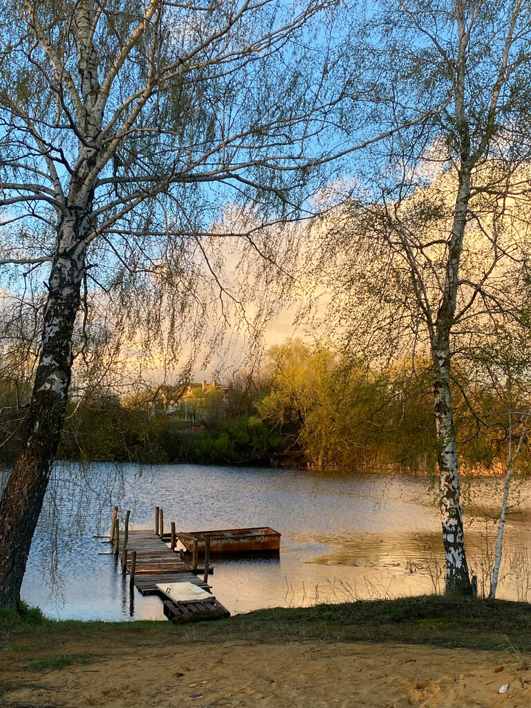 Piknik alanı Место для пикника, Tulskaya oblastı, foto
