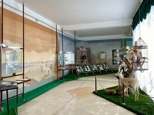 N. M. Przhevalsky Memorial museum (Issyk-Kul Region, gorod oblastnogo znacheniya Karakol, posyolok gorodskogo tipa Pristan-Przhevalsk), müzeler ve sanat galerileri  Issık Göl İli'nden