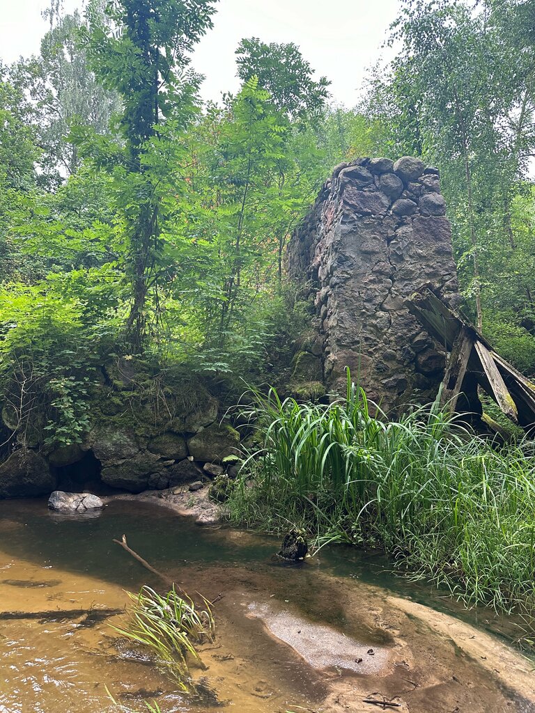 Tarımsal altyapı Водяная мельница, Vitebskaya oblastı, foto