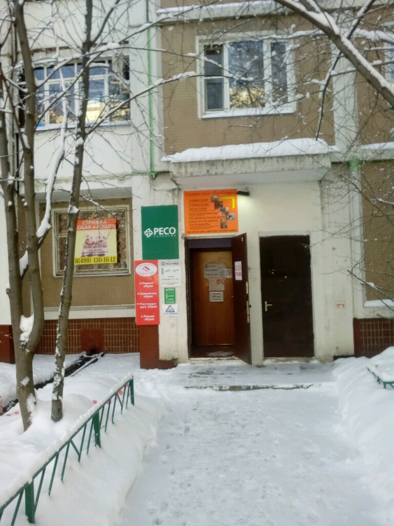 Evcil hayvan kuaförleri Gruming salon PomPon chik, Moskova, foto