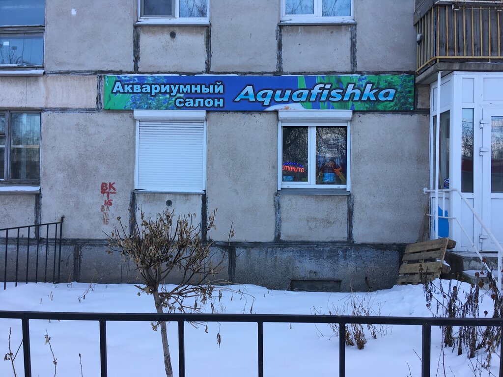Akvaryumlar Aquafishka, Magnitogorsk, foto