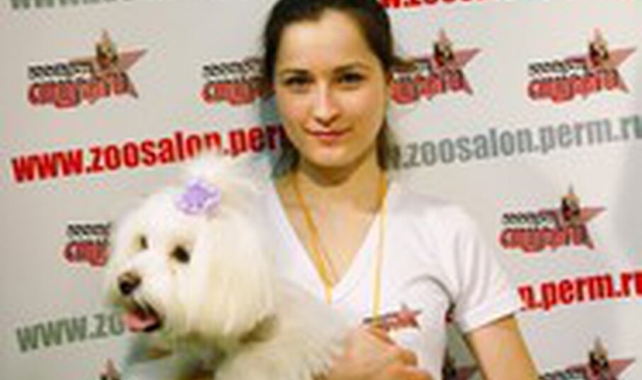 Evcil hayvan kuaförleri Stilyagi, Perm, foto