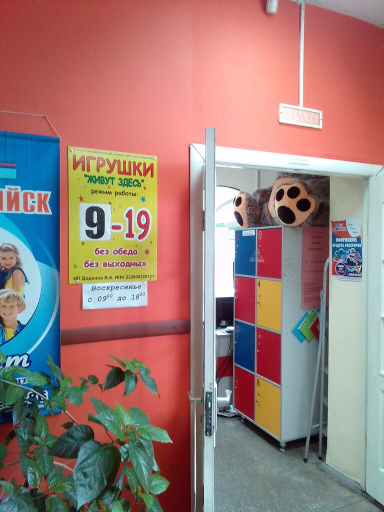 Çocuk mağazaları Игрушки живут здесь, Biysk, foto
