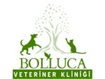 Bolluca Veteriner Kliniği (Bolluca Mah., Mavigöl Cad., No:47, Arnavutköy, İstanbul), veteriner klinikleri  Arnavutköy'den