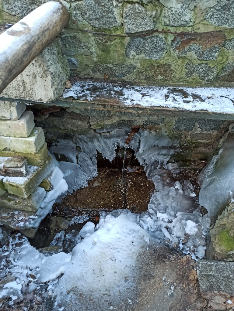 Pınar, çay Spring, stream, Volgogradskaya oblastı, foto
