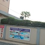 Richard Pool Contractors (La Bawaleshi Road No:32), bilardo salonları  Akra'dan