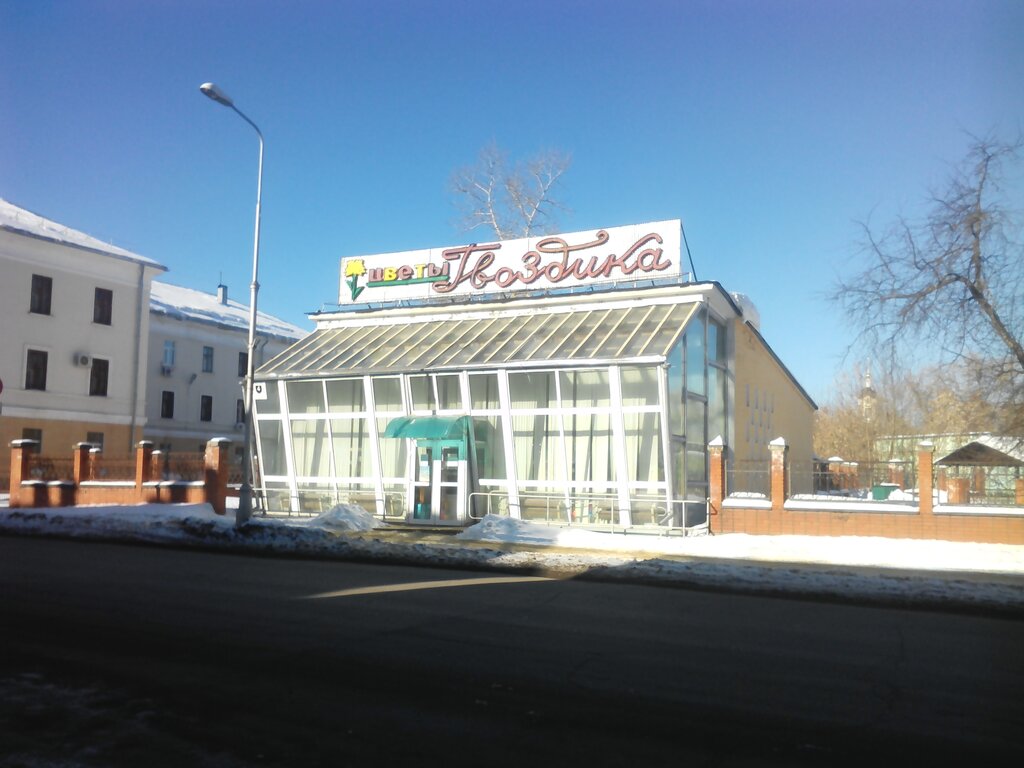 Çiçekçiler Гвоздика, Sarov, foto