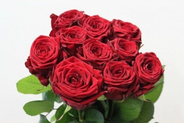 Kutlama ürünleri Rozovy Dozhd, Aksay, foto