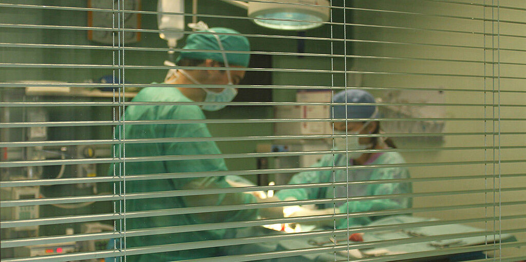 Veteriner klinikleri Clínica Veterinaria El Pinar, Valensiya, foto