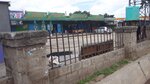 Gifted Liquor Store (Lusaka, Matero), alkollü içecekler  Lusaka'dan