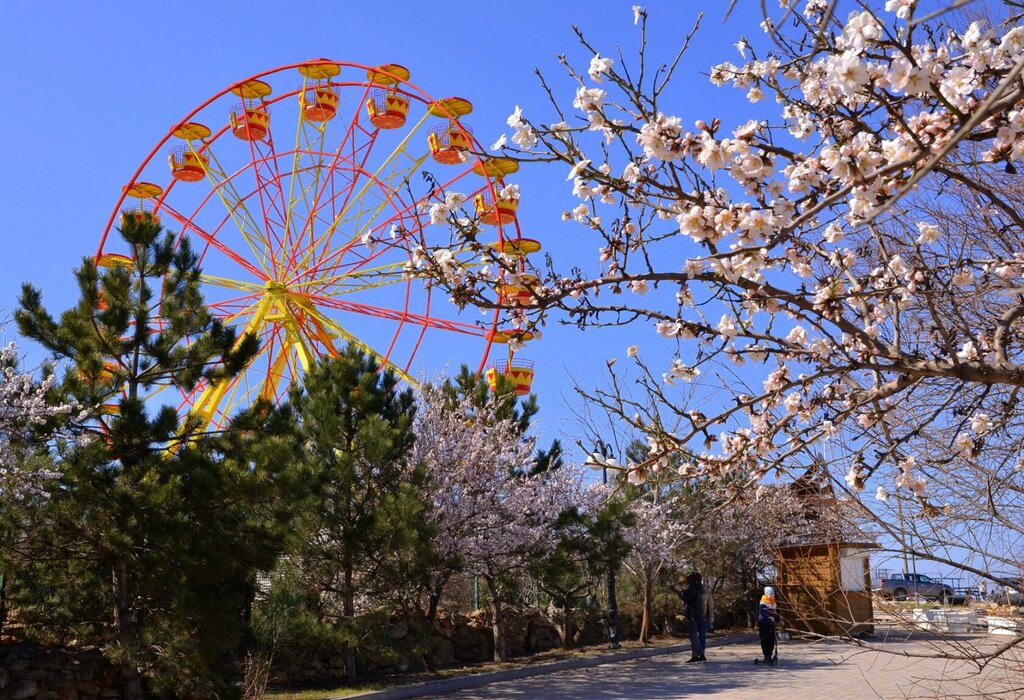 Atraksiyon Колесо Обозрения, Sevastopol, foto