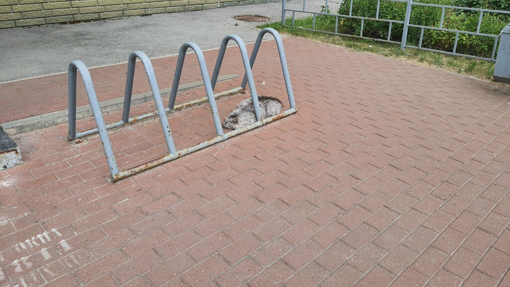 Bisiklet park yerleri Bicycle parking, Nijni Novgorod, foto