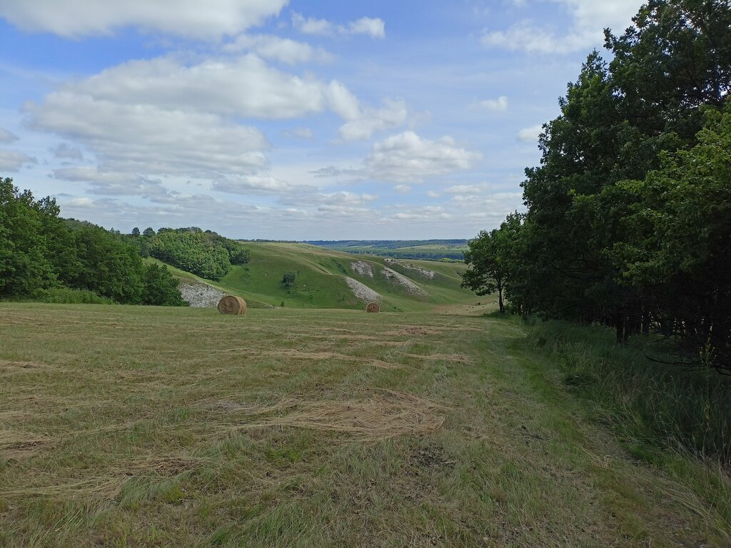 Turistik yerler Городище Крутцы, Voronejskaya oblastı, foto