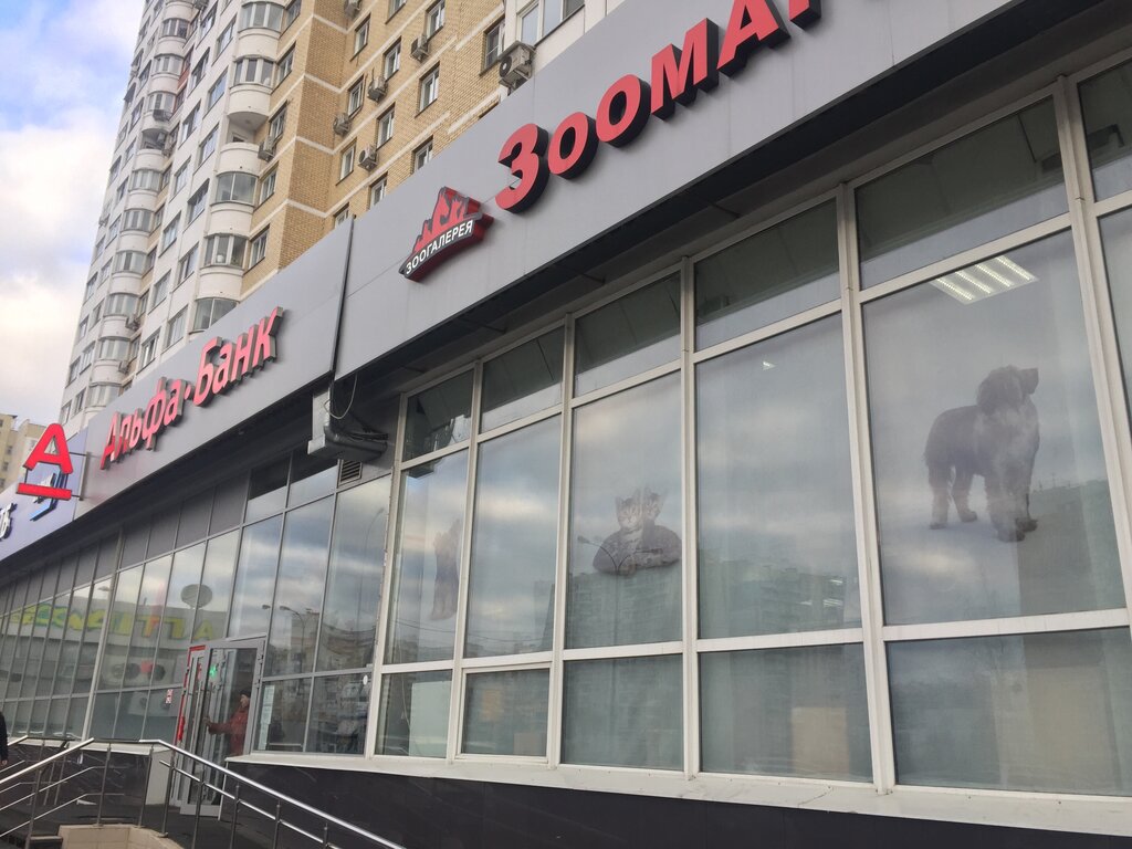 Petshop Zoogalereya, Moskova, foto