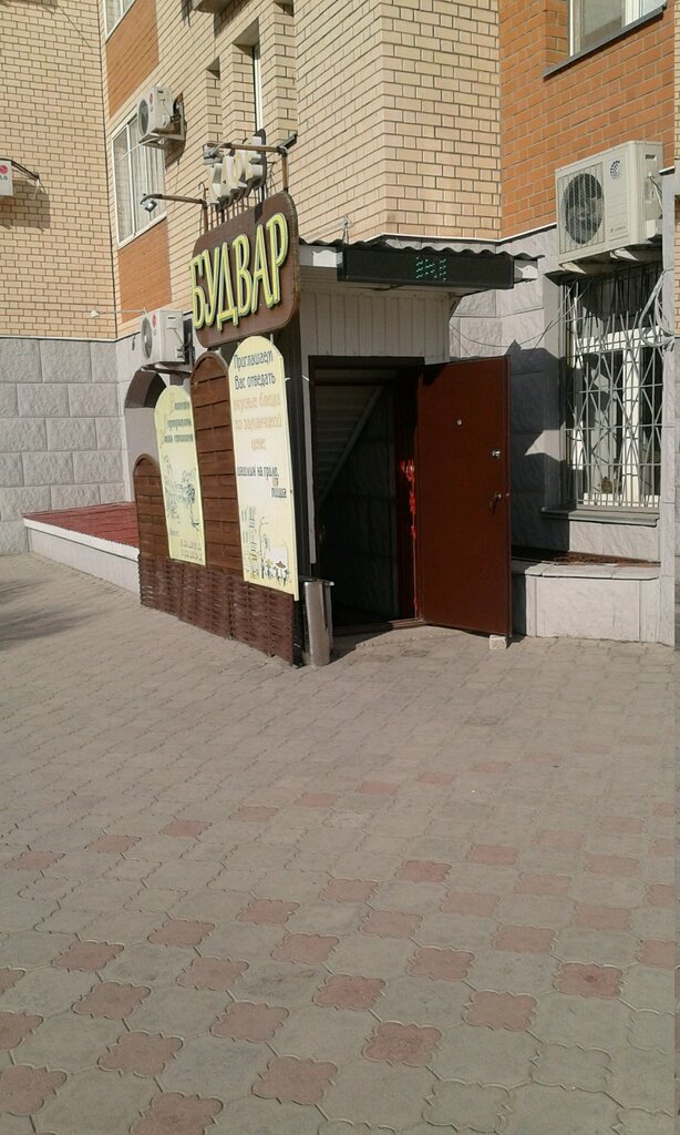 Bar Budvar, Volgograd, foto