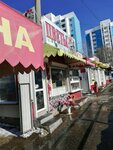 Цветы (Amineva Street No:33/2), çiçekçiler  Samara'dan