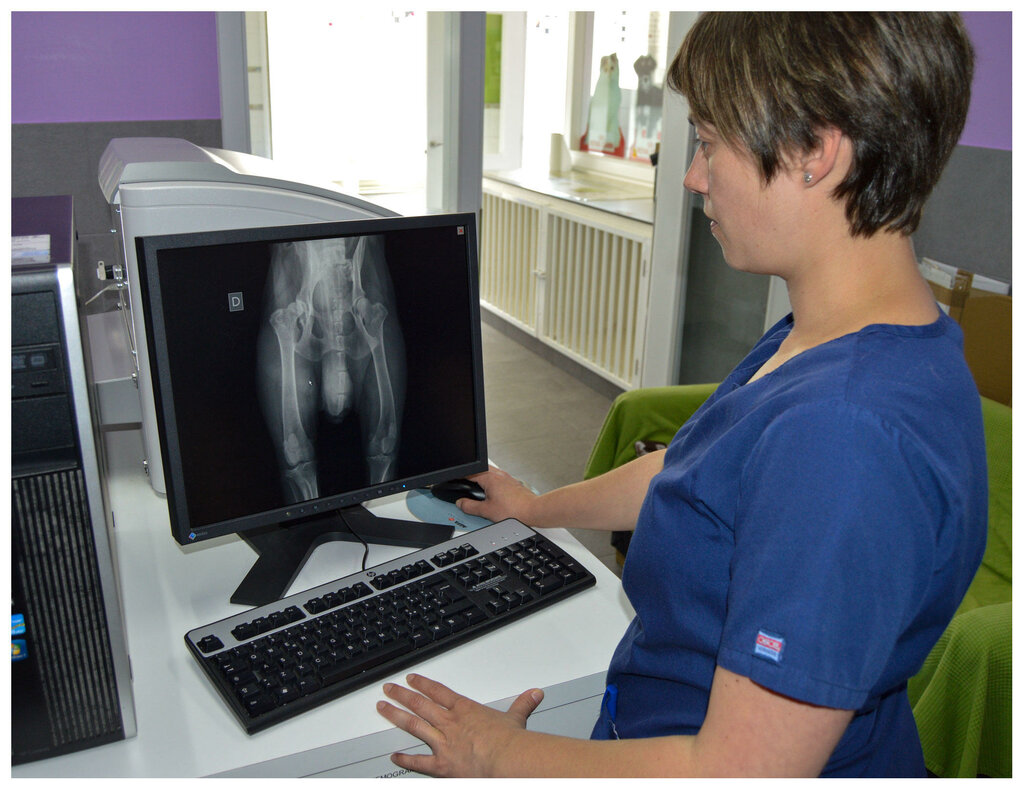 Veteriner klinikleri Clínica Veterinaria Catro Patas, Galisya, foto