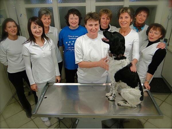 Veteriner klinikleri Das Tierärzteteam am Rathausplatz, Spittal an der Drau, foto