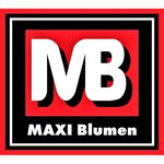 Maxi Blumen (Unter-Meidlinger Straße No:99, Wien), şehir planlama  Viyana'dan