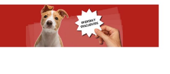 Petshop Comrimack, Valensiya, foto