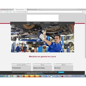 Automocion Pelegrin (Murcia, Lorca), otomobil servisi  Murcia'dan