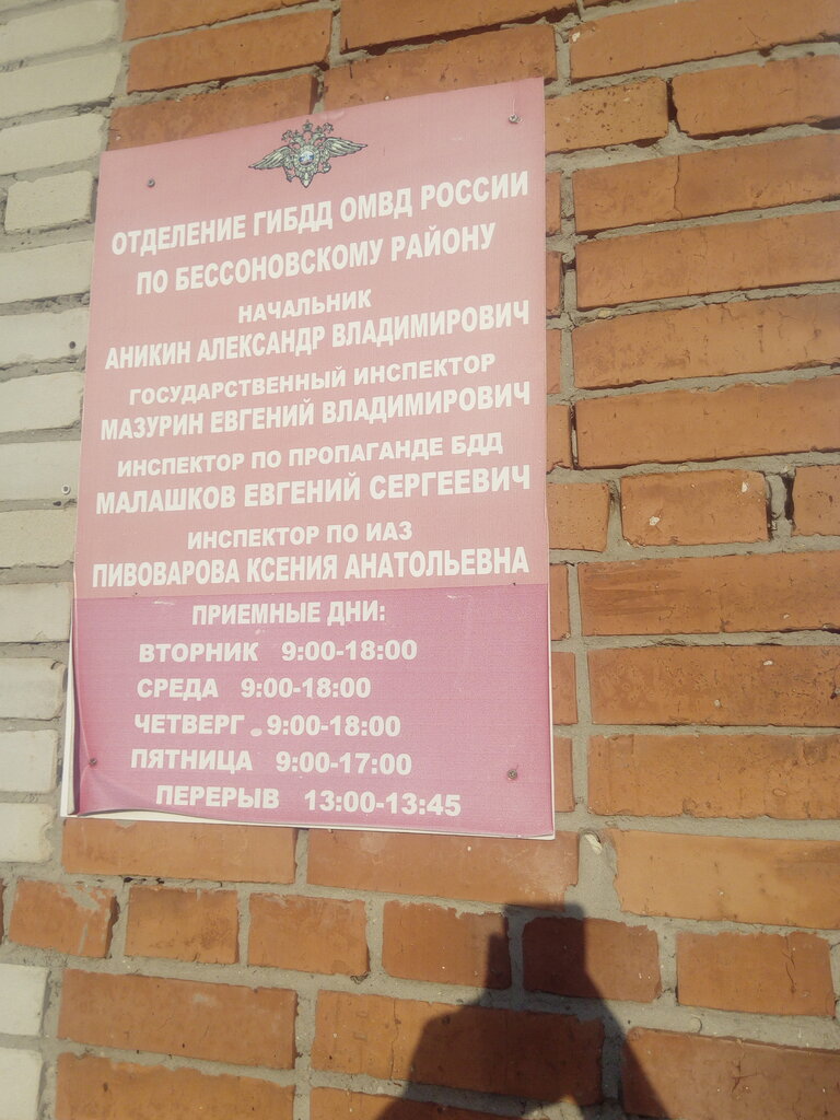 Trafik polisi ГИБДД, Penzenskaya oblastı, foto