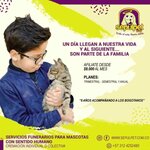 Sepulpet SAS (Bogotá, Engativá, Calle 54A, 72-43), hayvan kremasyonu