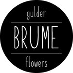 Brume flowers (Ábilqaıyr Han dańǵyly No:63блок5), çiçekçiler  Atırav'dan