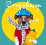 Zoodoktor (Institutskaya ulitsa No:14, Shchyolkovo-3 Microdistrict), veteriner klinikleri  Şçolkovo'dan