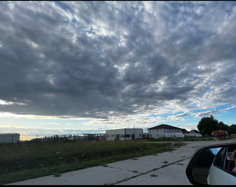 Hayvancılık Тверской урожай, Tverskaya oblastı, foto