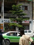 Ets Ziang Gang Wujin (Brazzaville, Commune de Poto-Poto, Haoussas Rue), elektronik cihaz ve parça firmaları  Brazzaville'den