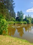 Золотая осень (No:4, Gardening Community Zalataja Vosien), bahçecilik dernekleri ve kuruluşları  Grodnenskaya oblastından